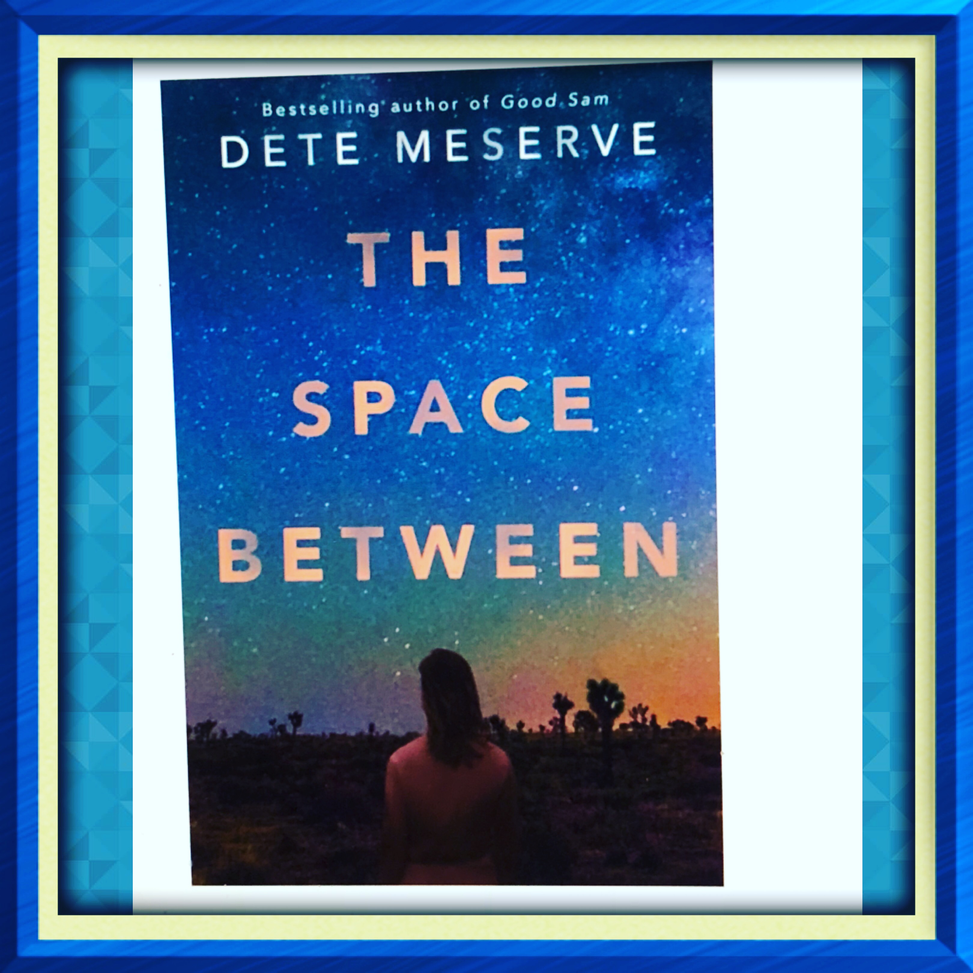 My Review of “The Space Between” by Dete Meserve – Linda's Book Obsession: