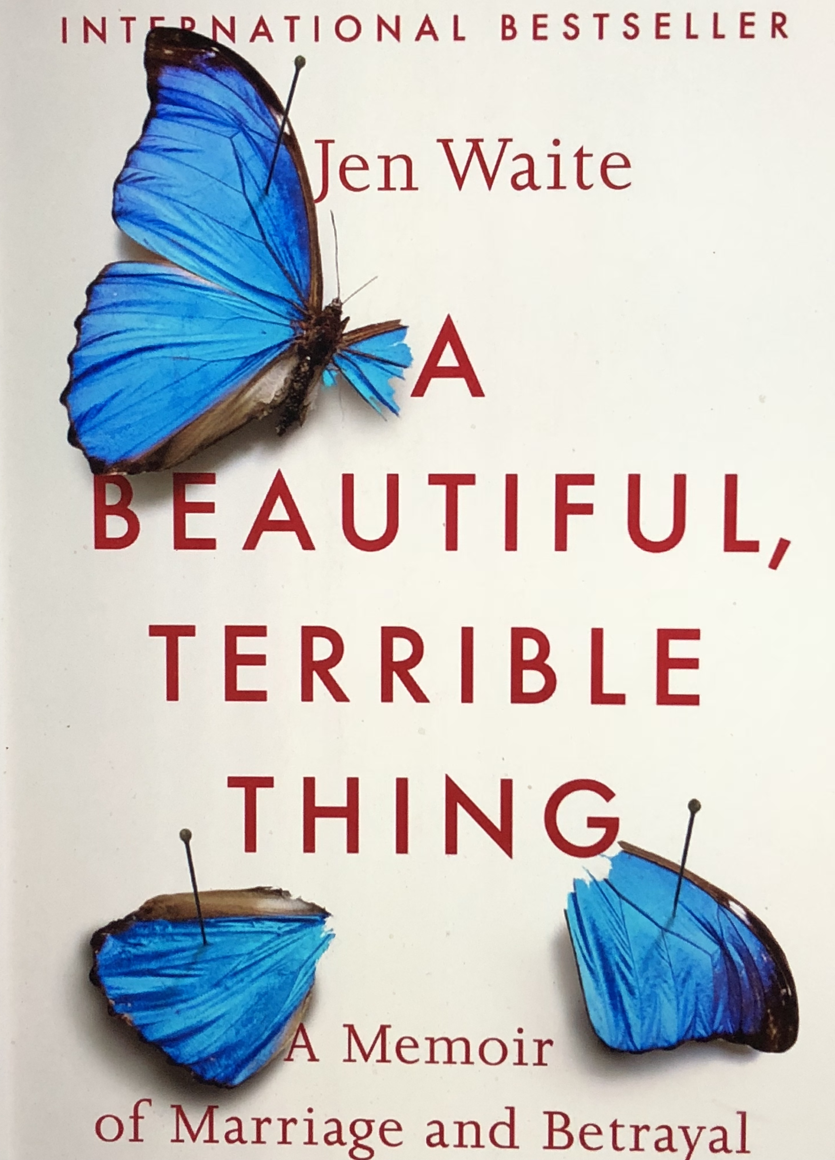 MY REVIEW OF “A BEAUTIFUL TERRIBLE THING’ A Memoir of Marriage and ...
